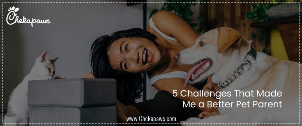 5 Challenges That Made Me a Better Pet Parent - Cheka Paws Animal Care